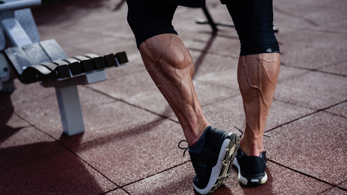 The 8 Best Calf Muscle Exercises For Your Training Routine – CrazyBulk UK