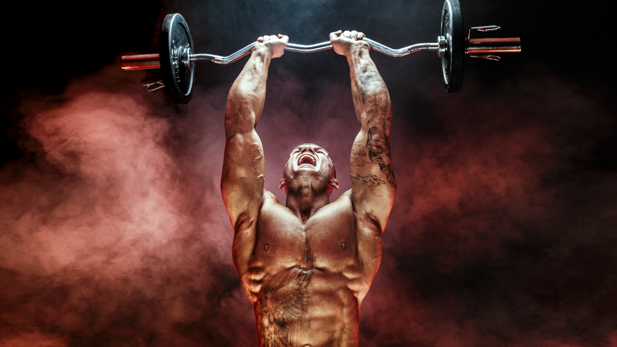 Phat Workout: Build Mass & Strength (Layne Norton Program Review ...