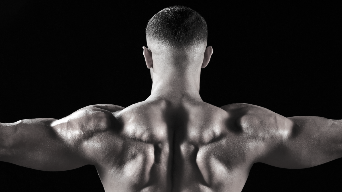 The ultimate guide to building bigger traps: Everything you need to kn ...